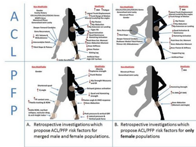 Anterior cruciate ligament injuries in netball: the elephant in the ...