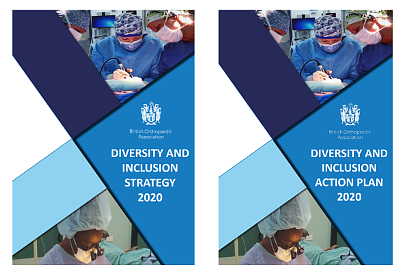 Diversity and Inclusion Strategy and Action Plan